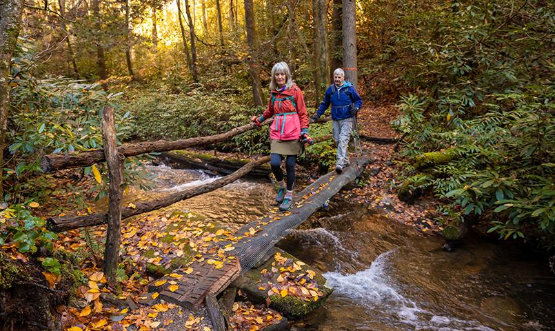 Connestee Falls | Brevard, NC Mountain Golf Community