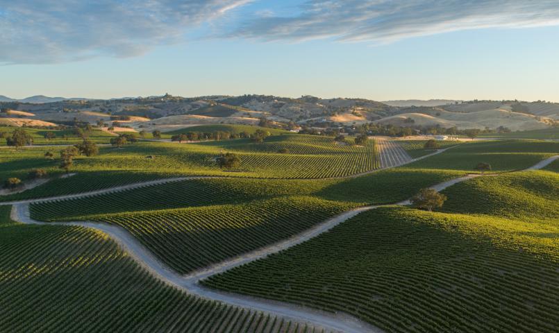 Best 55+ Communities in Northern California