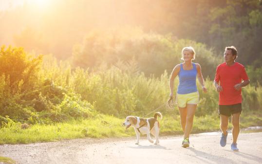 Explore the Benefits of Living in a Pet-Friendly Community